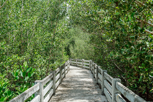행복하게 즐길 수 있는 ‘지속 가능한 허니문'